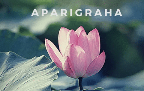The Yamas and Niyamas: Aparigraha (Non-Greed) - Integral Yoga® Magazine