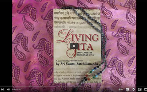 "The Bhagavad Gita: A Study" - New Video Series - Integral Yoga® Magazine
